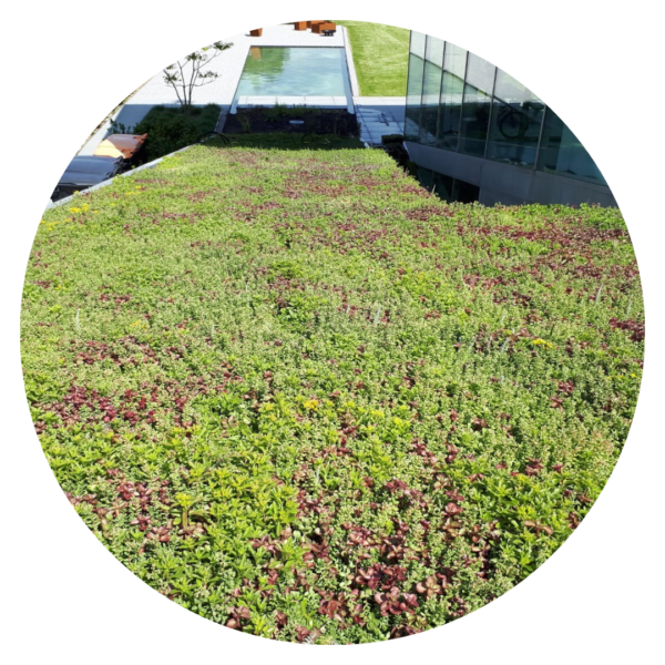 Opbouw van een Groendak met Vivamix - De Witte BV