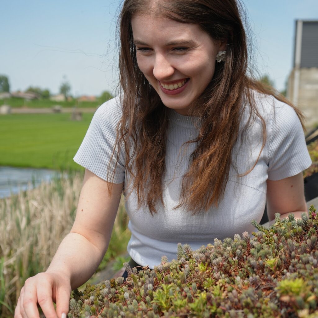 Over De Witte - De Witte BV